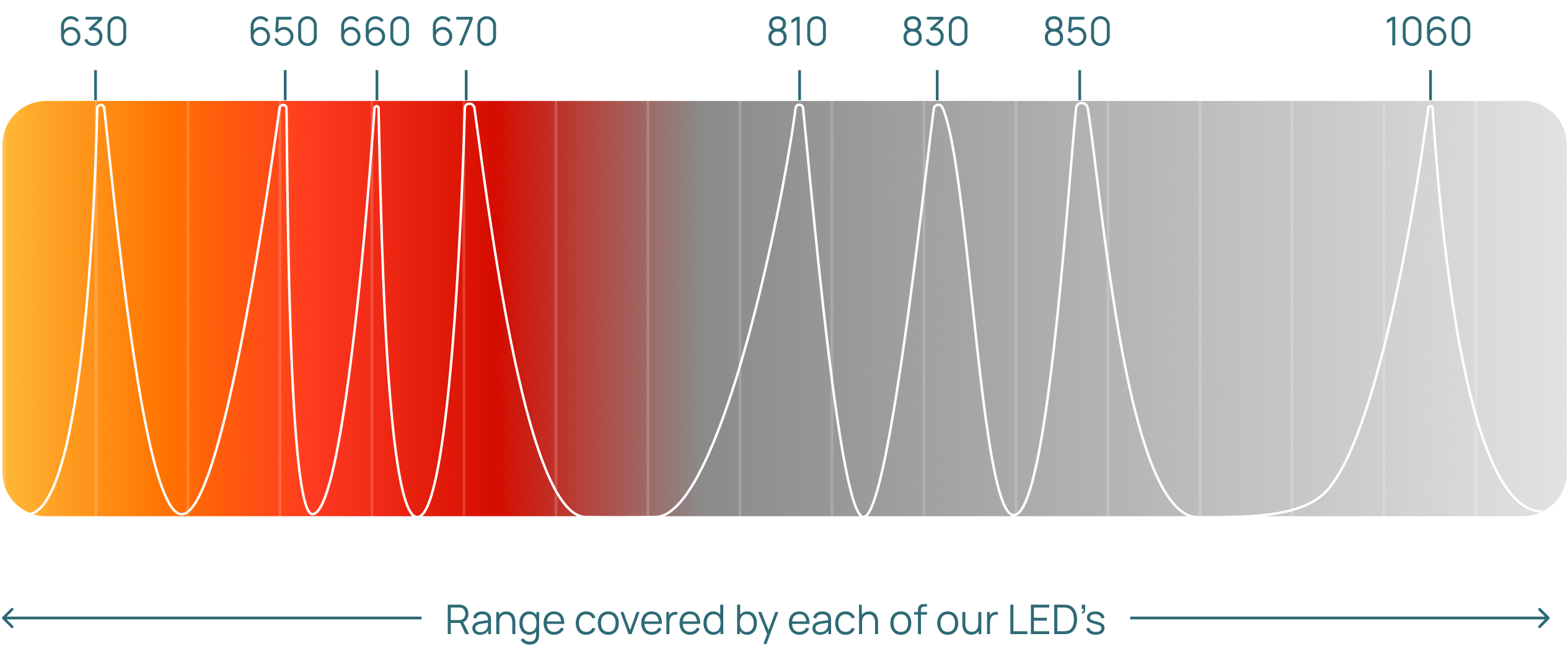 Rouge Care - Red Light Therapy Products for Home Use